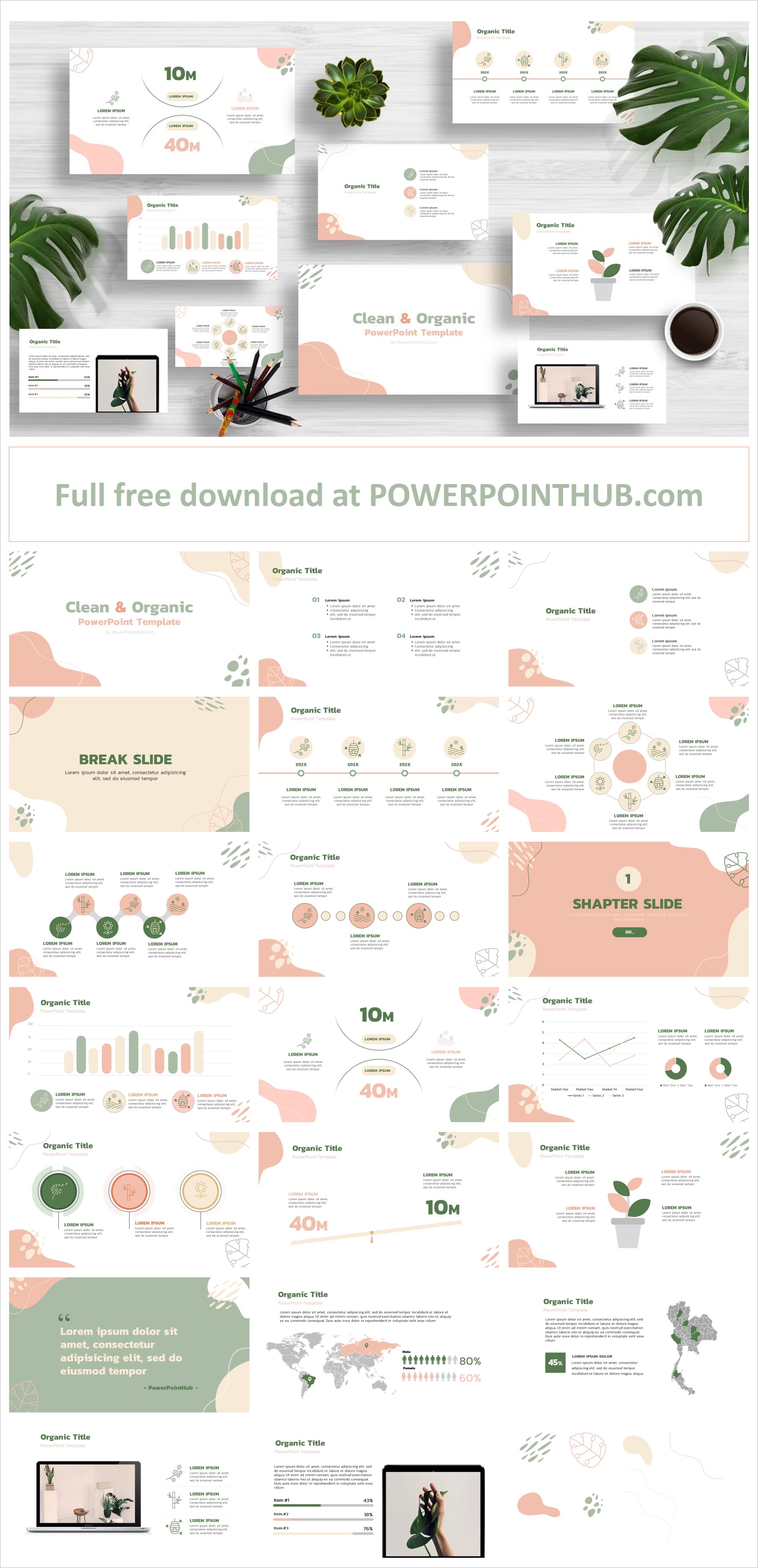 Clean & Organic PowerPoint Template - Powerpoint Hub Clean & Organic PowerPoint Template - Powerpoint Hub